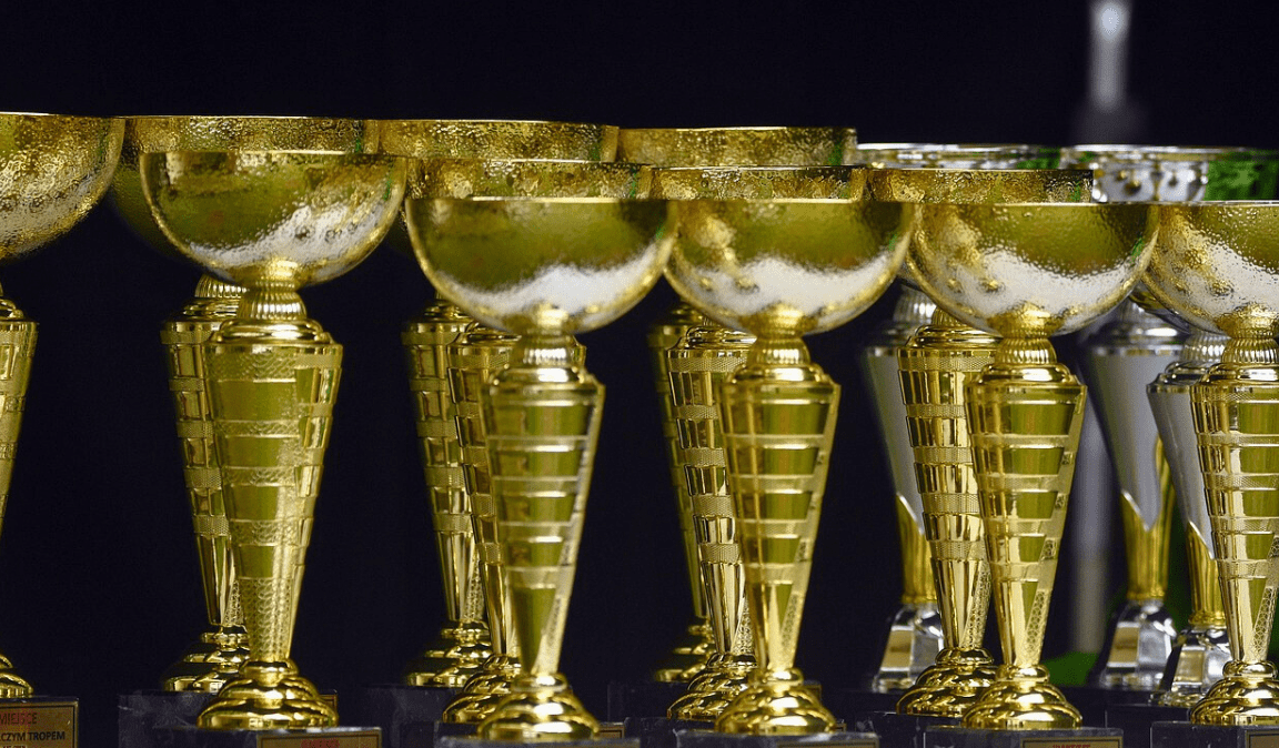 CECONOMY im Extel-Ranking 2024 mehrfach ausgezeichnet - EURO LEADERS